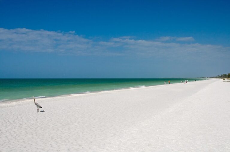 Gallery - Sanibel Moorings